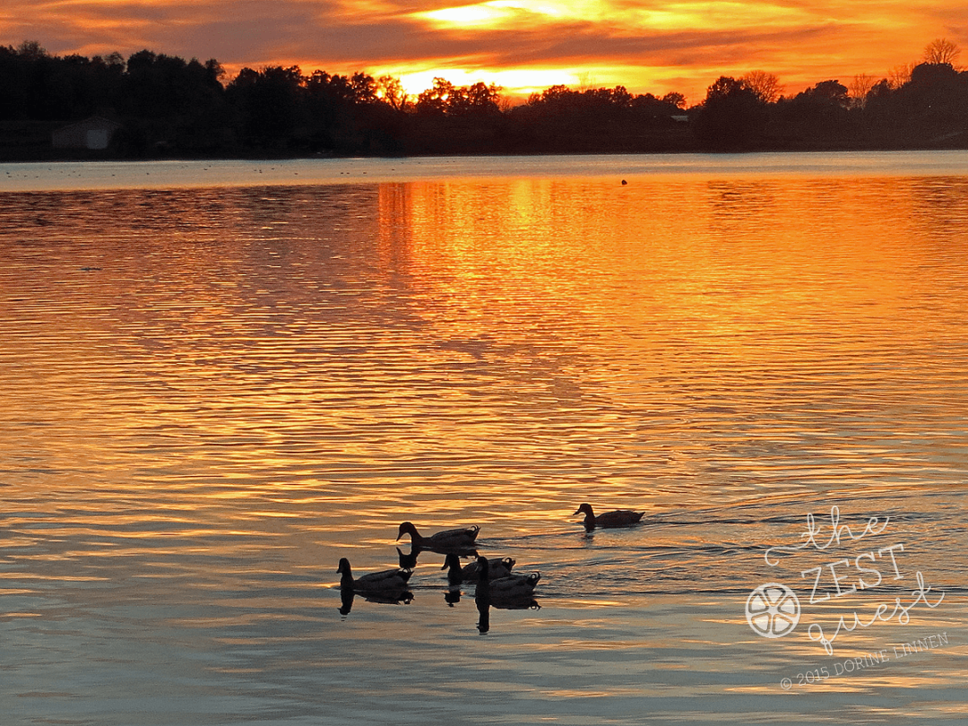 Sunset at Springfield Lake reflects colors of Autumn